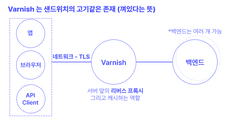 varnish 가 뭔데요 | juneyr.dev